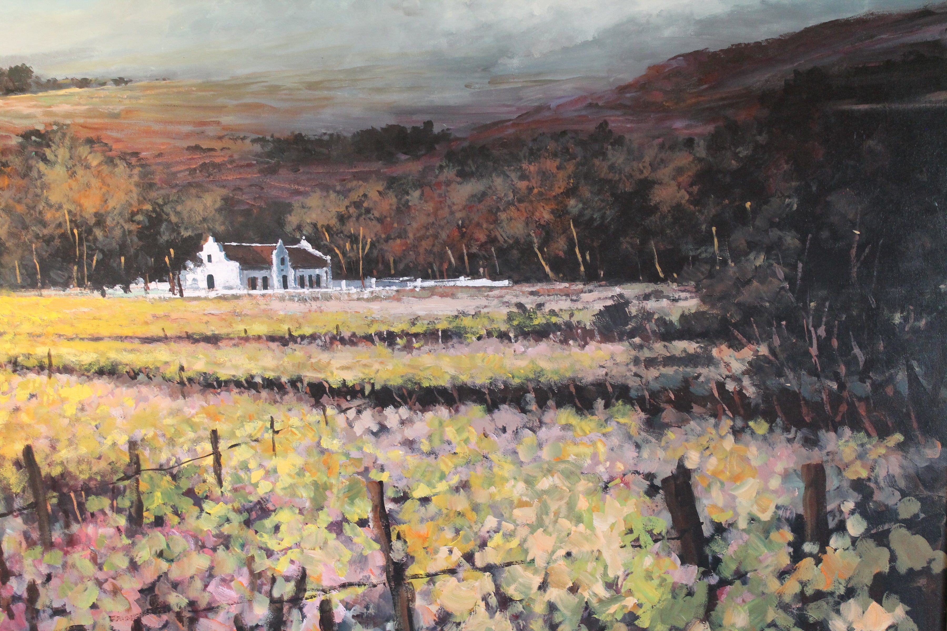 Hidden Spring Vineyard